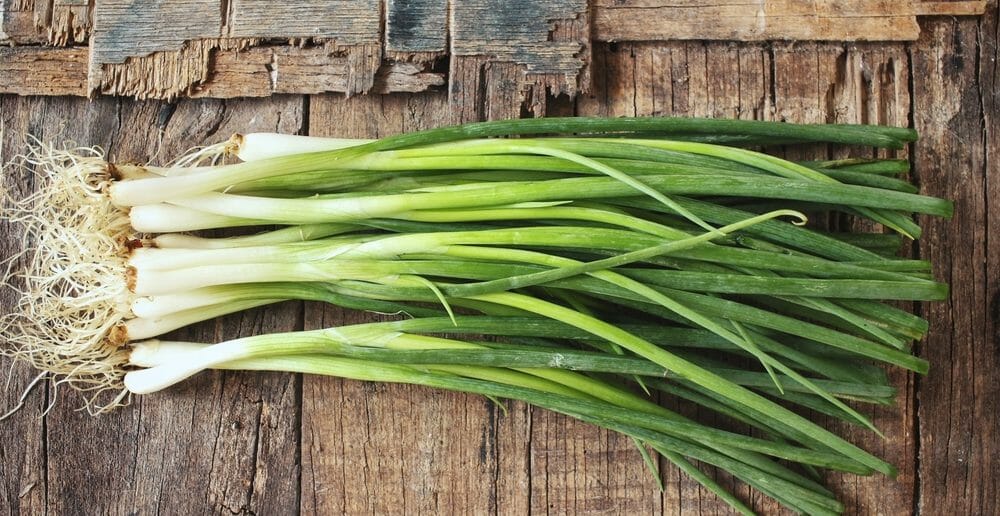 L’oignon vert efficace pour maigrir ? - Le blog Anaca3.com