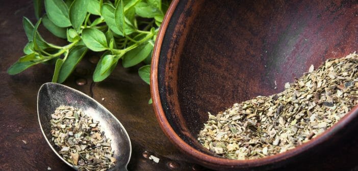Maigrir avec la tisane de marjolaine ? - Le blog Anaca3.com