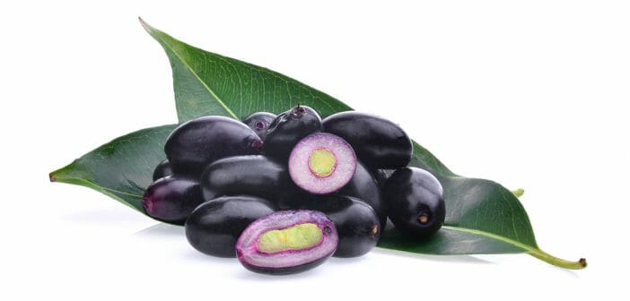 Safou et régime sont-ils compatibles ? - Le blog Anaca3.com