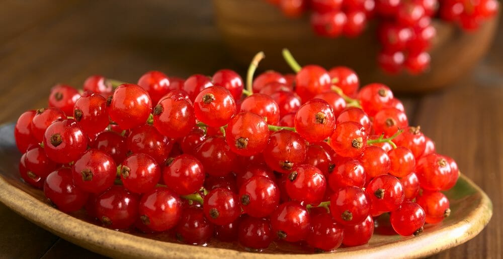 La groseille rouge, un bon allié pendant un régime ? - Le blog Anaca3.com
