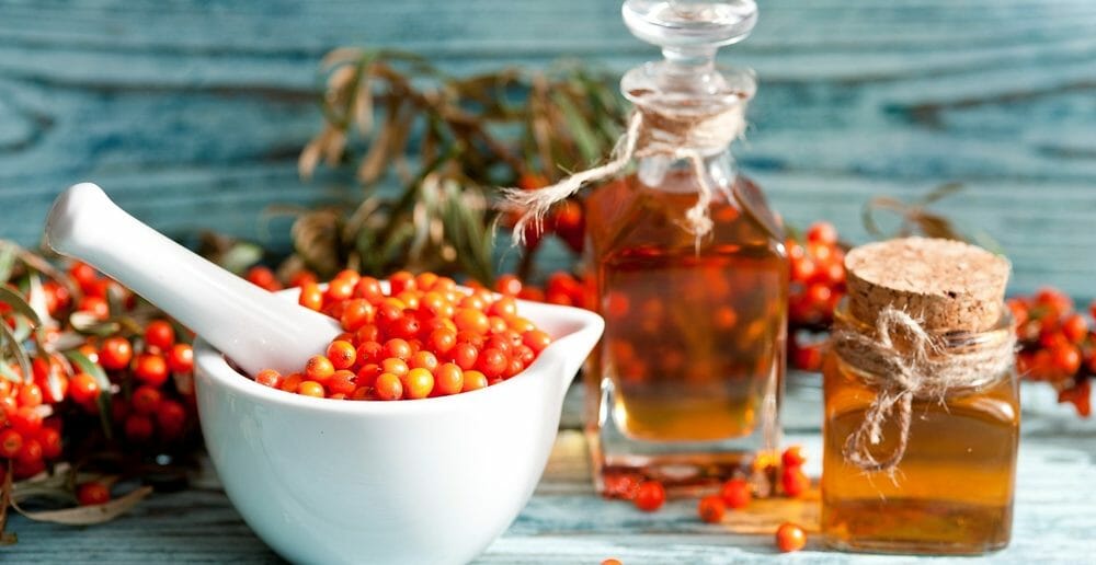 Les vertus dépuratives du nerprun - Le blog Anaca3.com